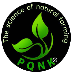 What is PQNK - Maxim Agro